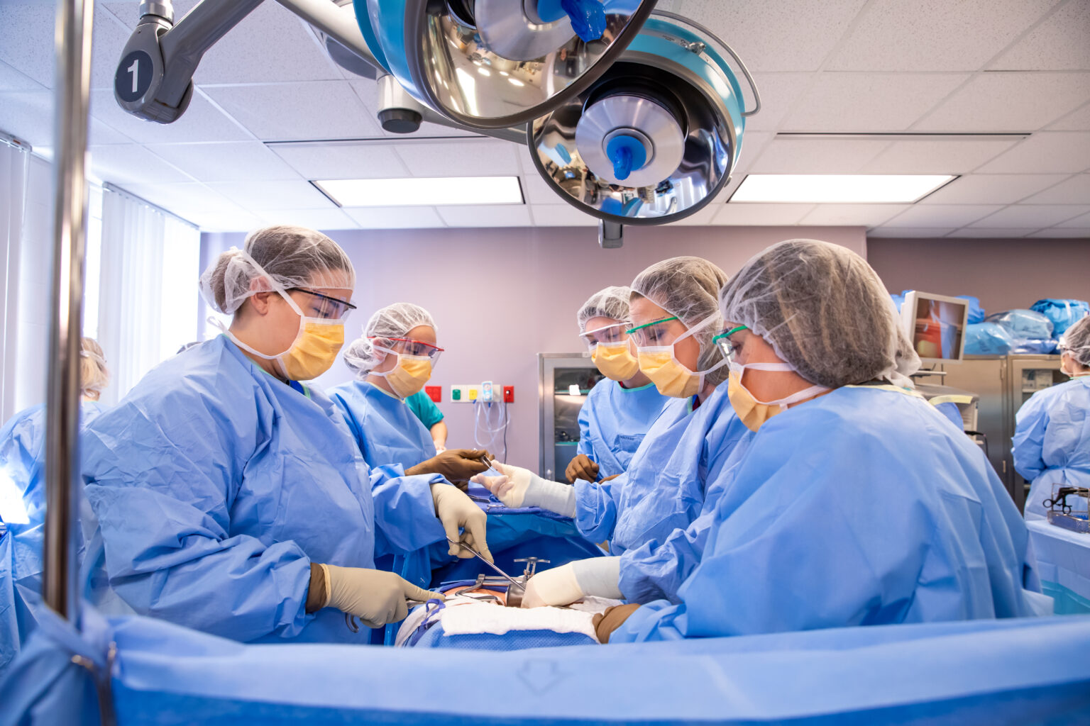 Events from October 28, 2024 – December 3, 2024 › Events – Student and ...